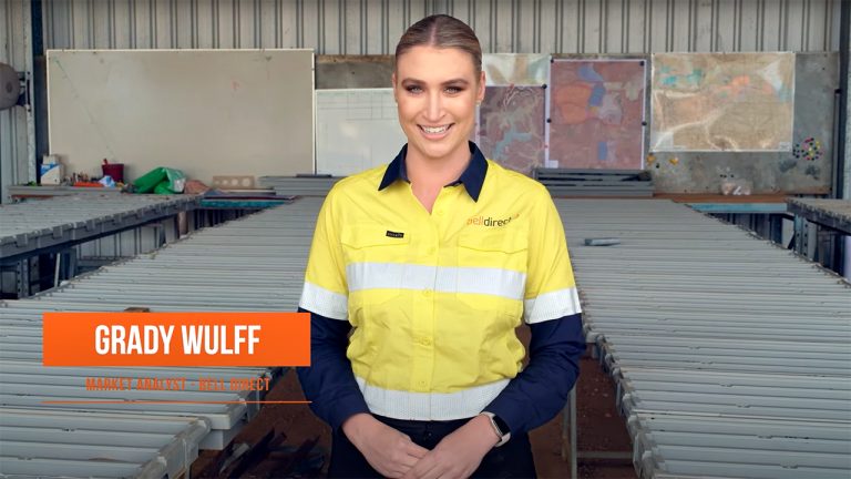 news - Caravel Minerals Limited